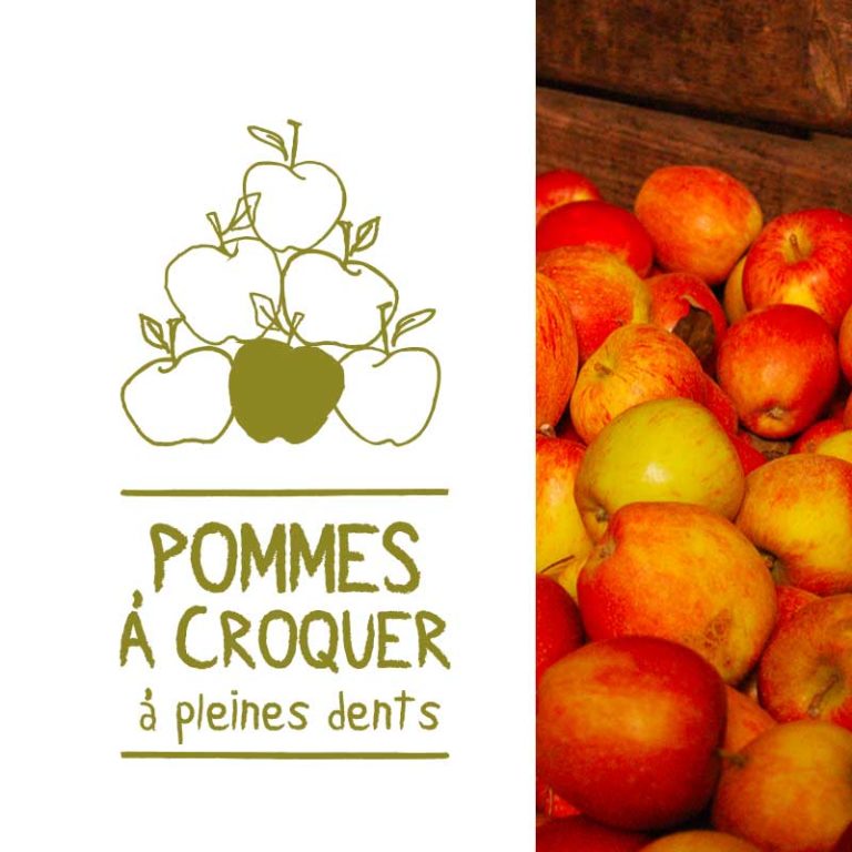 Pommes bio à croquer à pleines dents | Verger de la Hanère